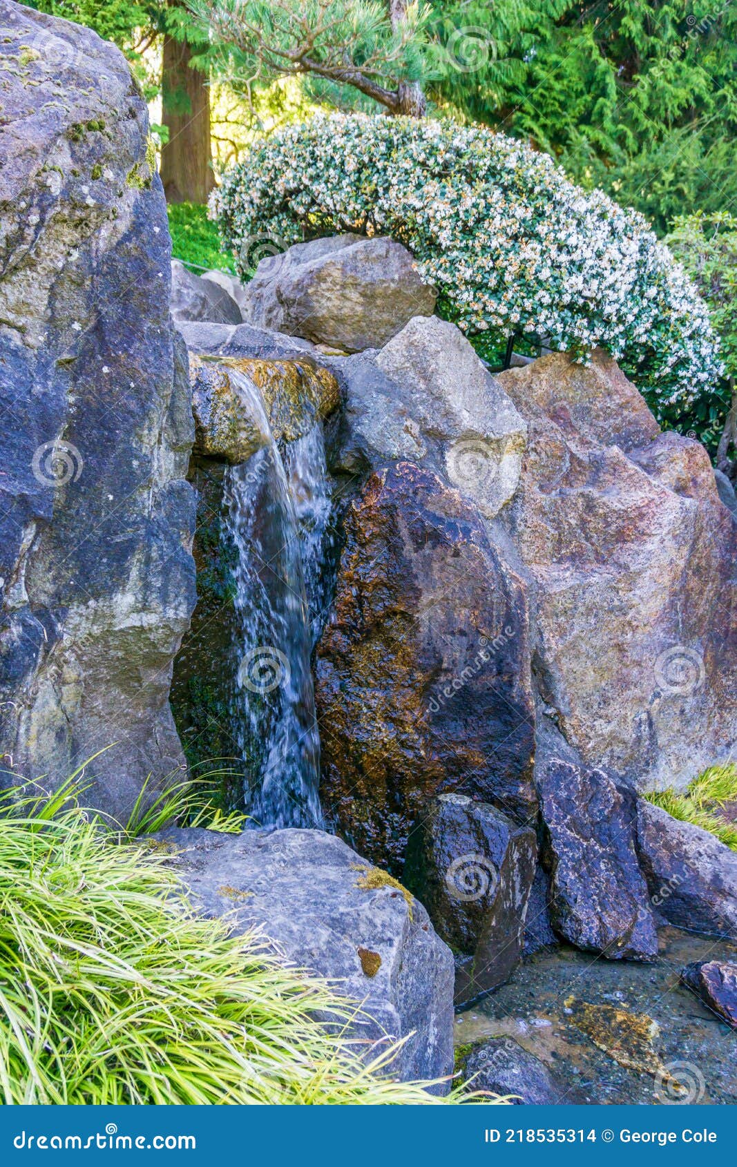 Rock Face Waterfall stock photo. Image of state, nature - 218535314