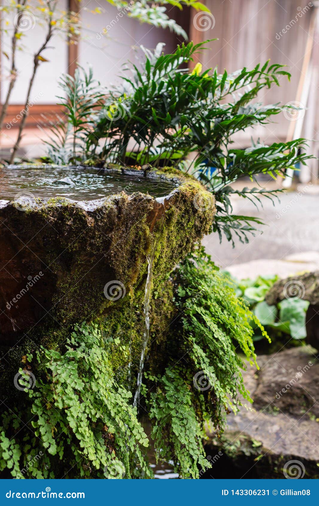 Water Feature in Japanese Garden Stock Image - Image of japan, nature ...