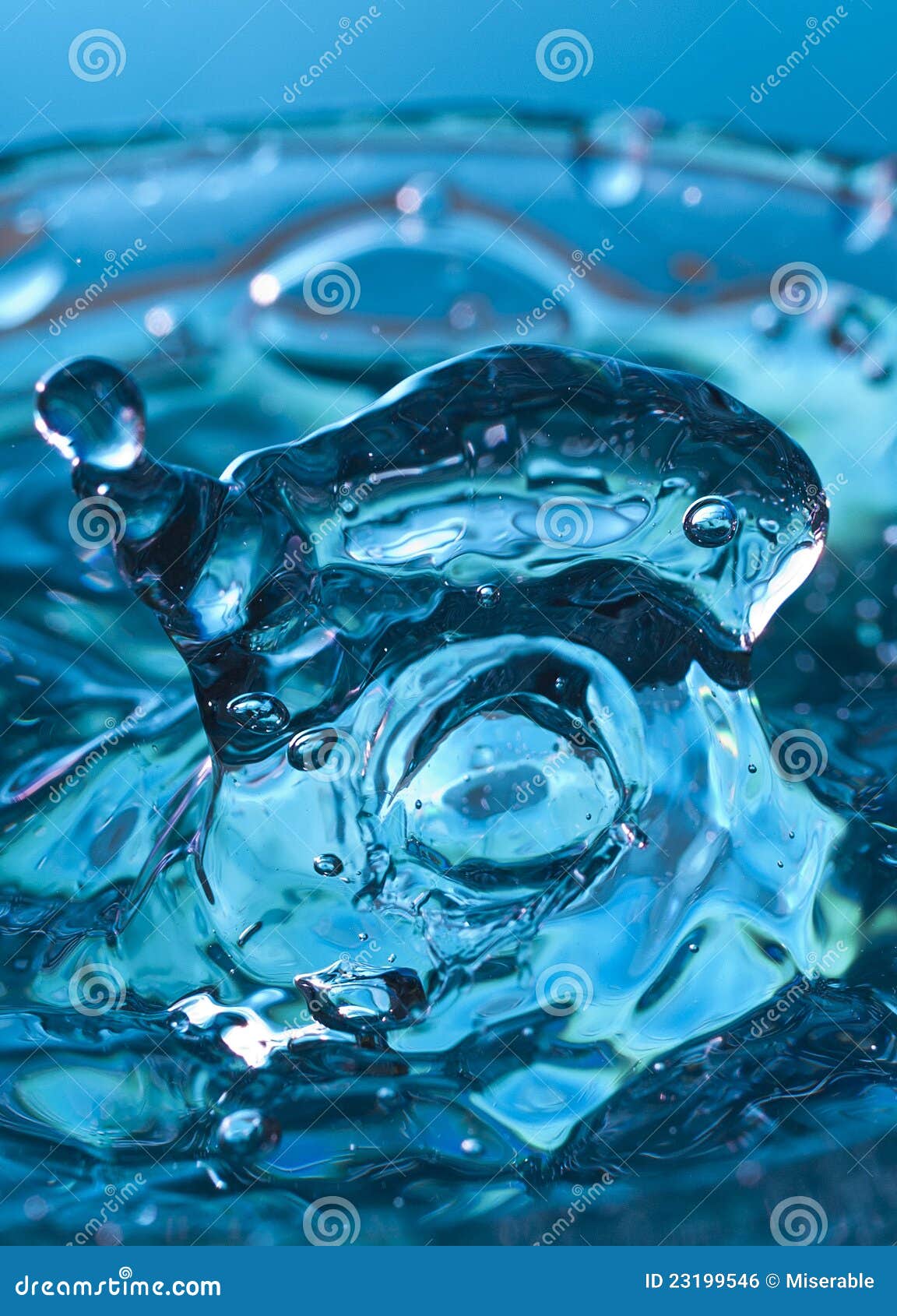 Water figure of fish stock photo. Image of world, splash - 23199546
