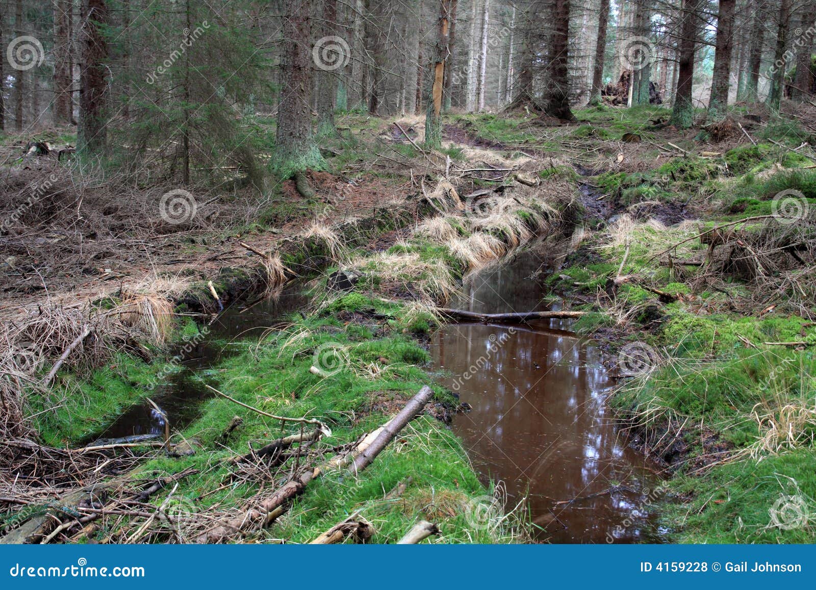 Water filled route stock photo. Image of rain, thrunton - 4159228