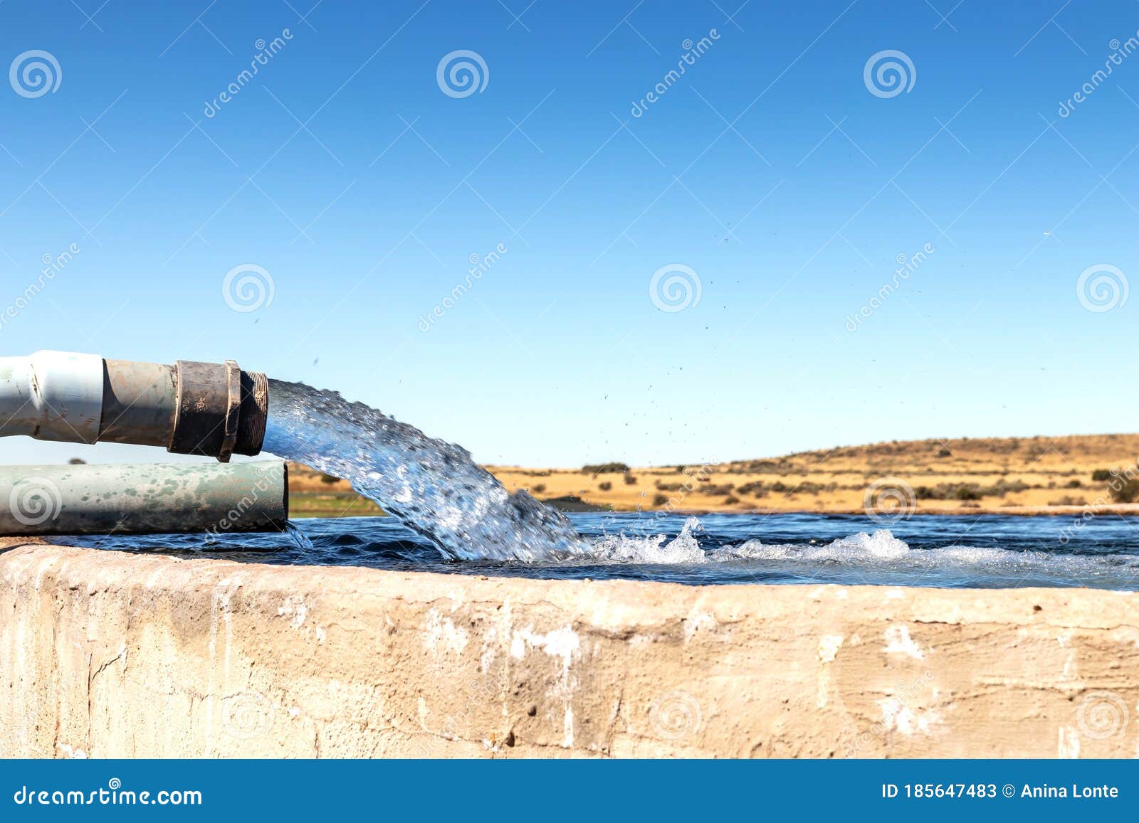 Water Filling a Cement Dam Outdoors on a Farm Stock Image - Image of ...