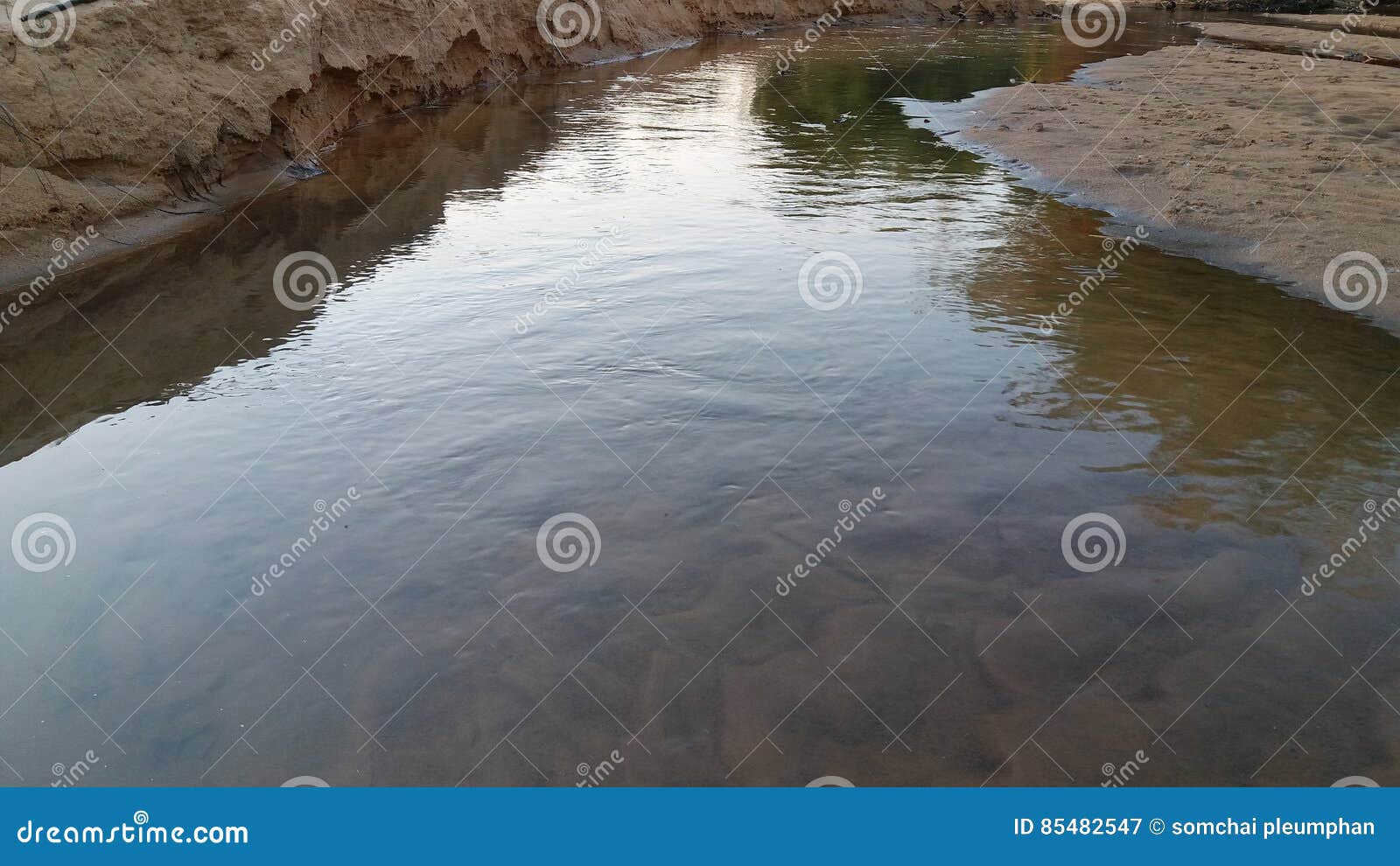 Water Filling Dribble See the Fish Stock Image - Image of bank ...