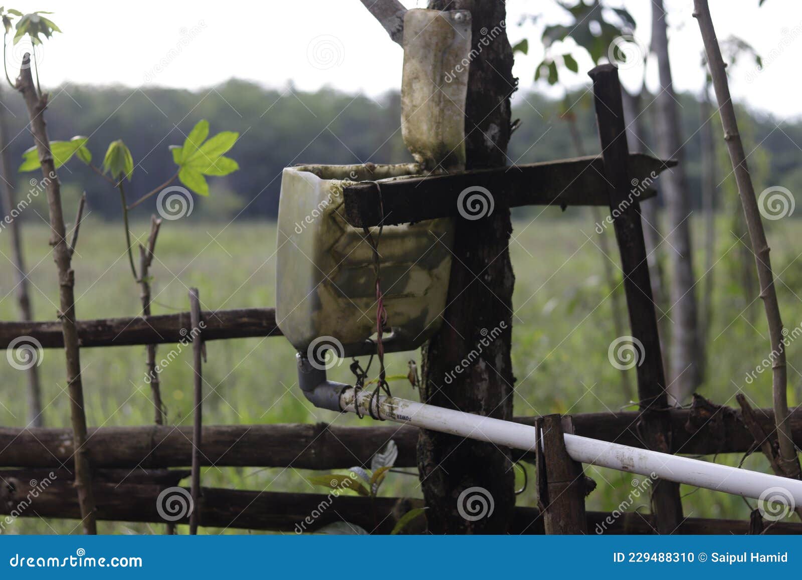 Water Filter through Pipes in the Forest Stock Photo - Image of leaf ...
