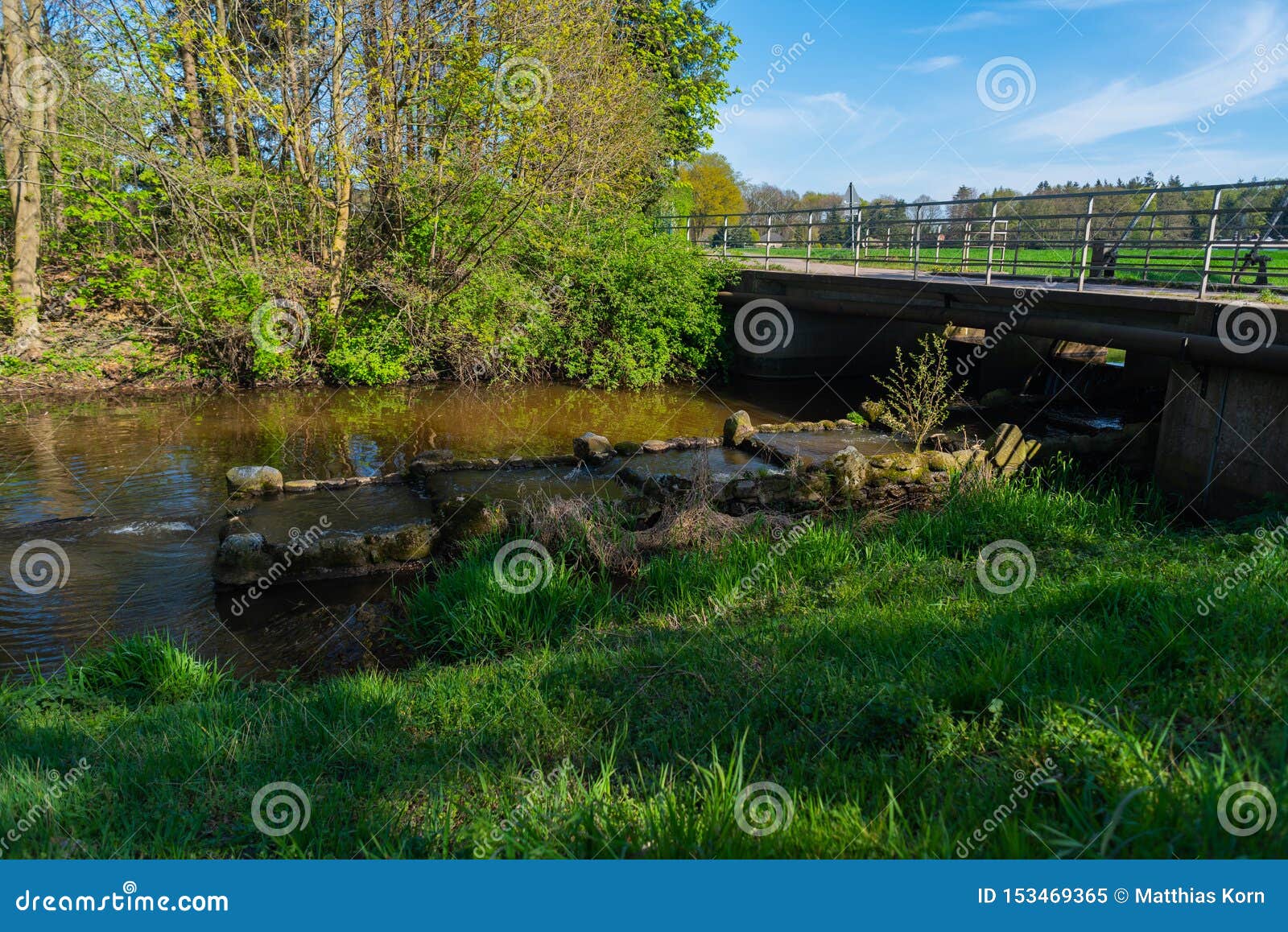 The Water always Finds Its Way through Nature Stock Image - Image of ...