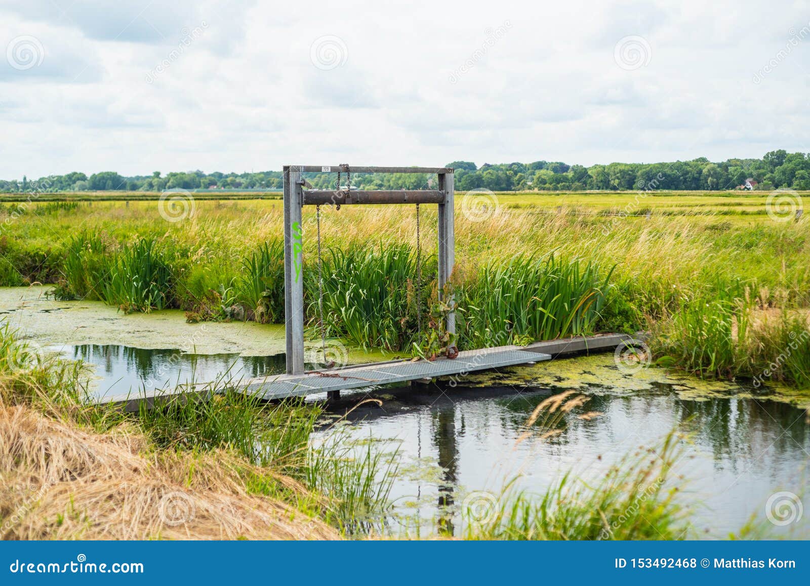 The Water always Finds Its Way through Nature Stock Photo - Image of ...