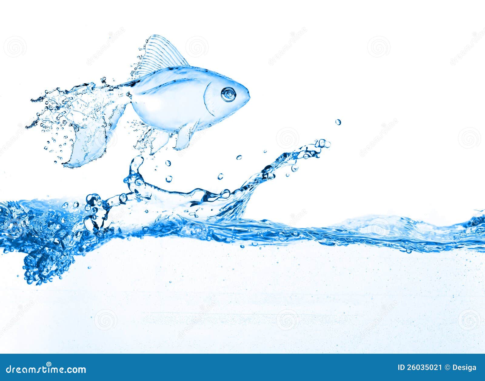 Water, Fish, River, Nature, Cyprinus Carpio, Carp Royalty-Free Stock ...