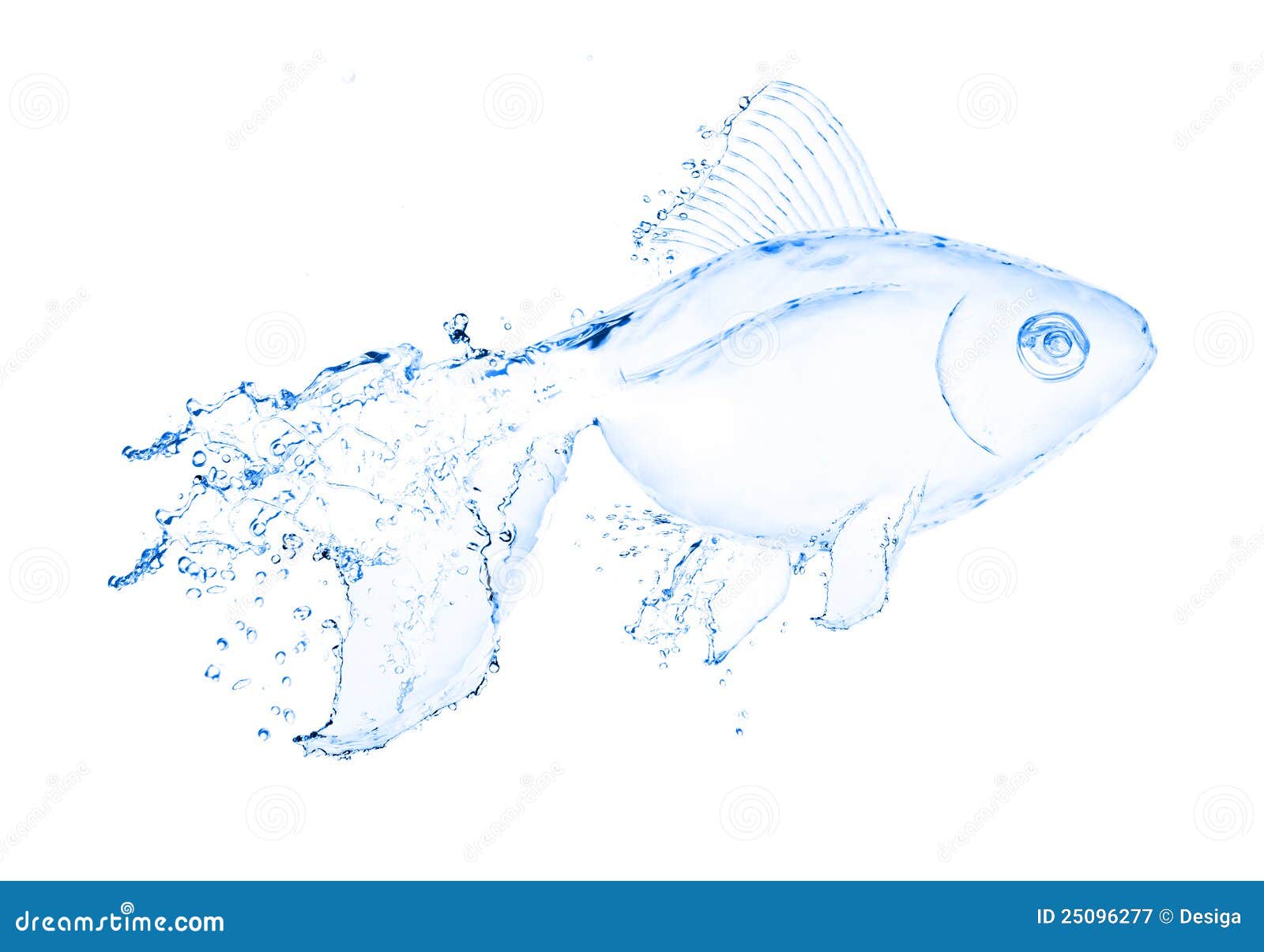 Water Fish Splash Isolated on White Stock Image - Image of bath, beauty ...