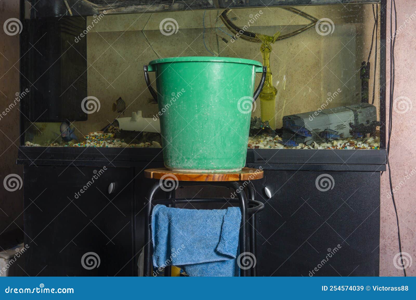 Fish Tank Bucket Stock Photos - Free & Royalty-Free Stock Photos from ...