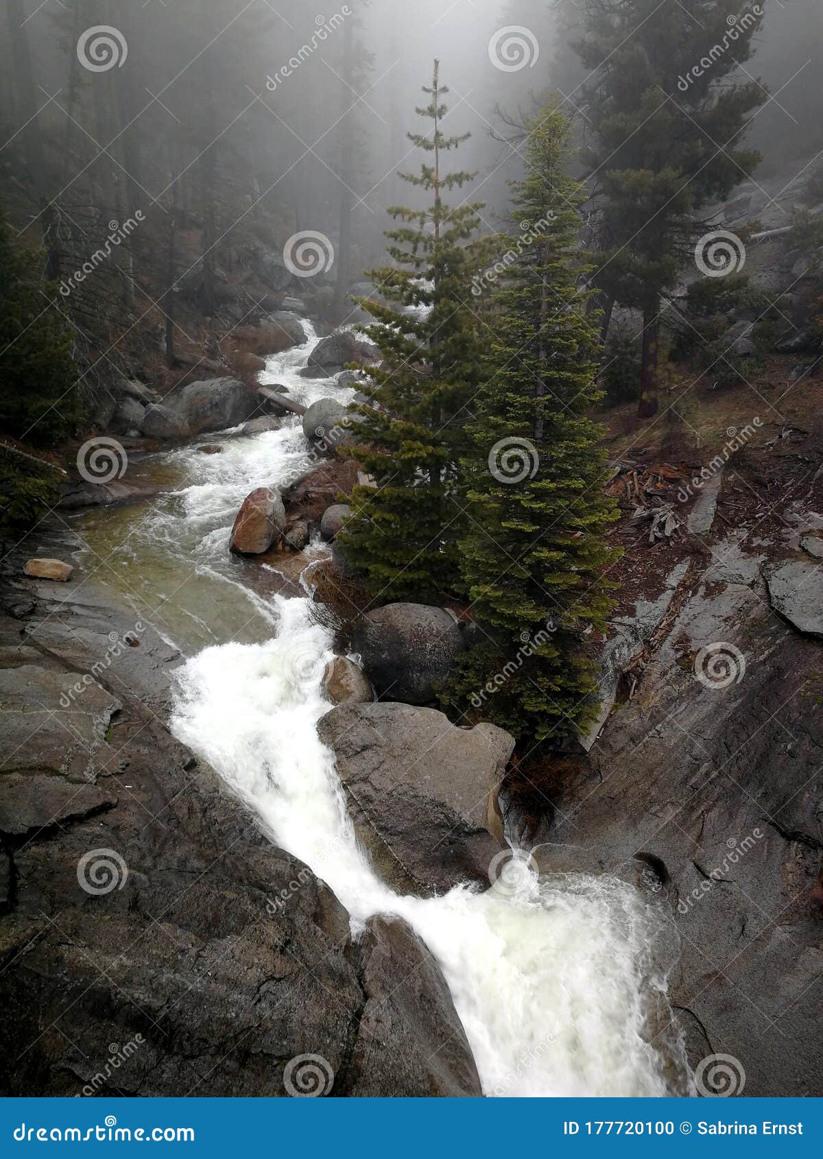 Water Float through Stones in a River Stock Photo - Image of vacation ...