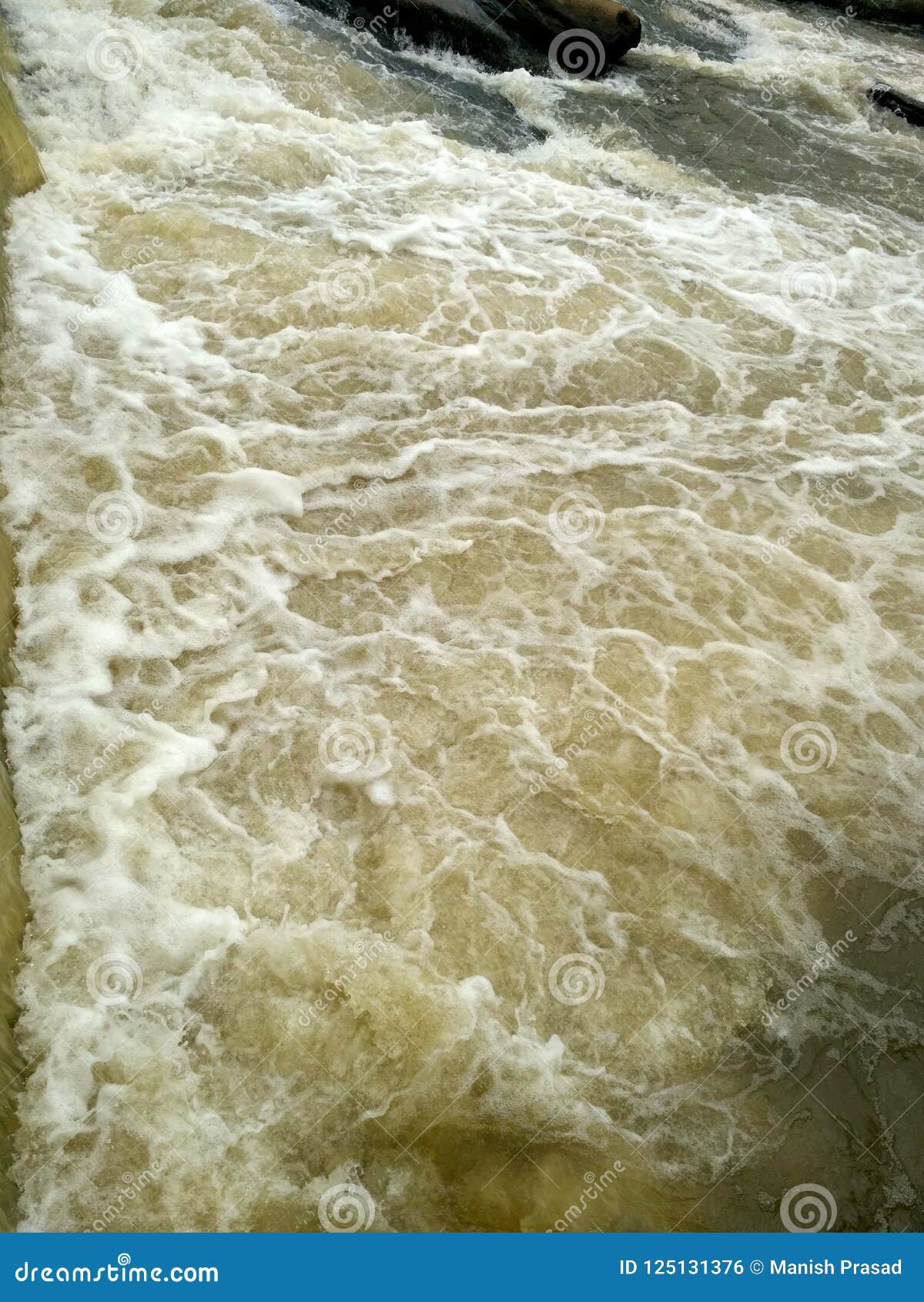 Water flood stock photo. Image of water, beauty, river - 125131376