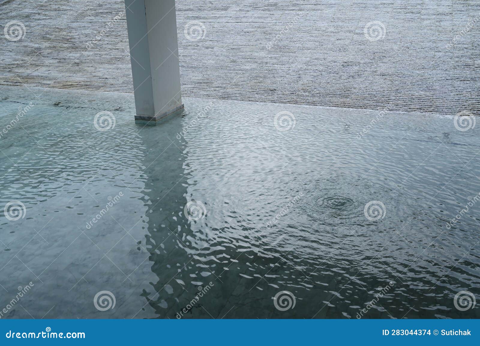 Close Up Water on Floor, Interior Design Stock Photo - Image of fresh ...