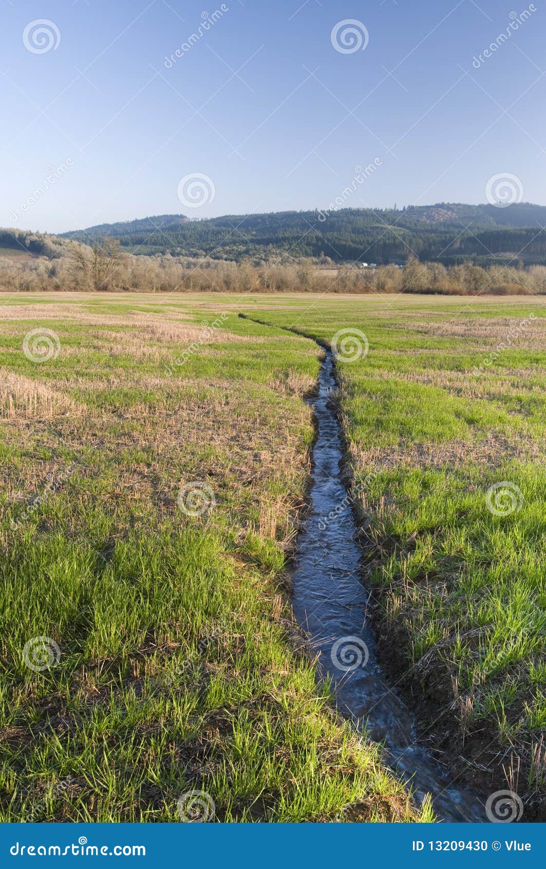 Water flow in agriculture stock photo. Image of flow - 13209430