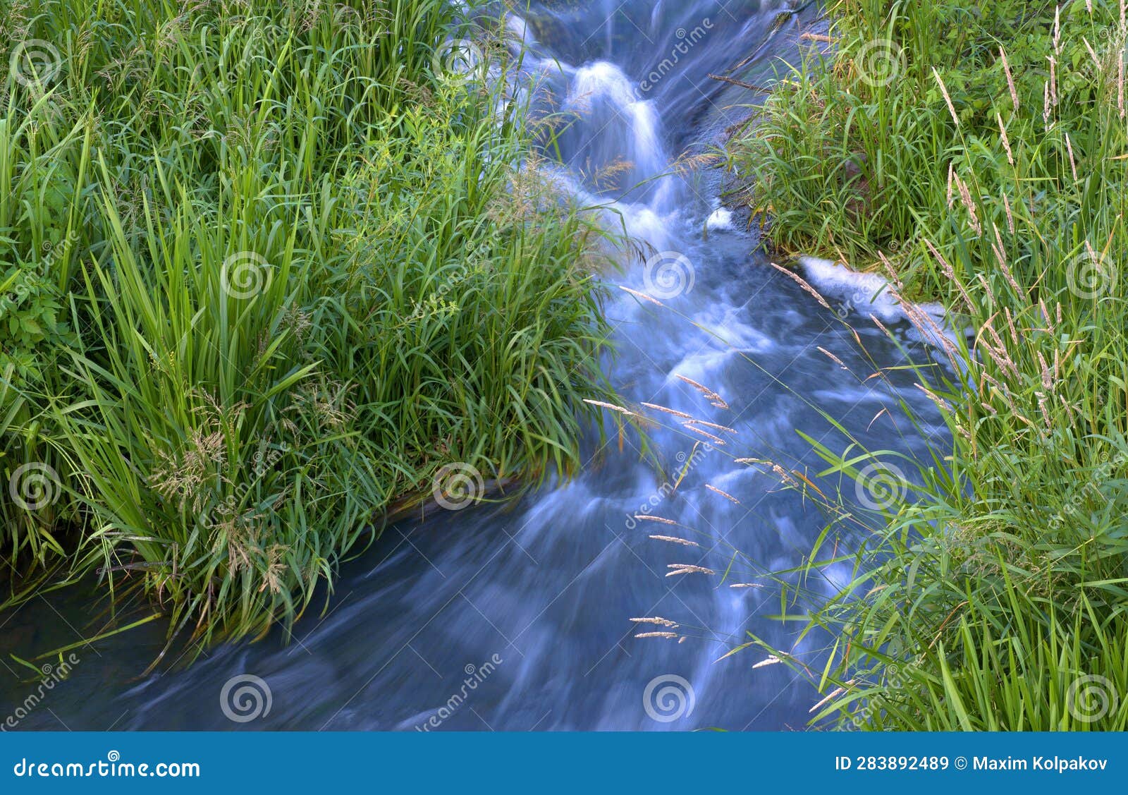 Water flow stock image. Image of wetland, waterfall - 283892489