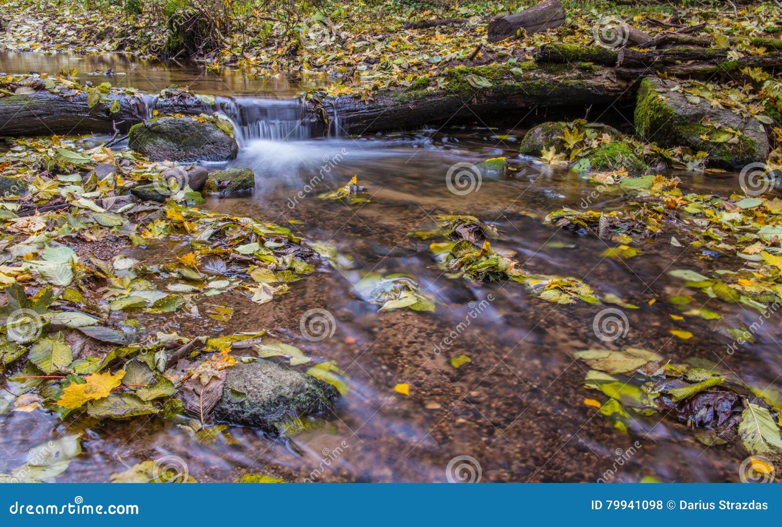 Water flow, fall leaves stock photo. Image of beautiful - 79941098
