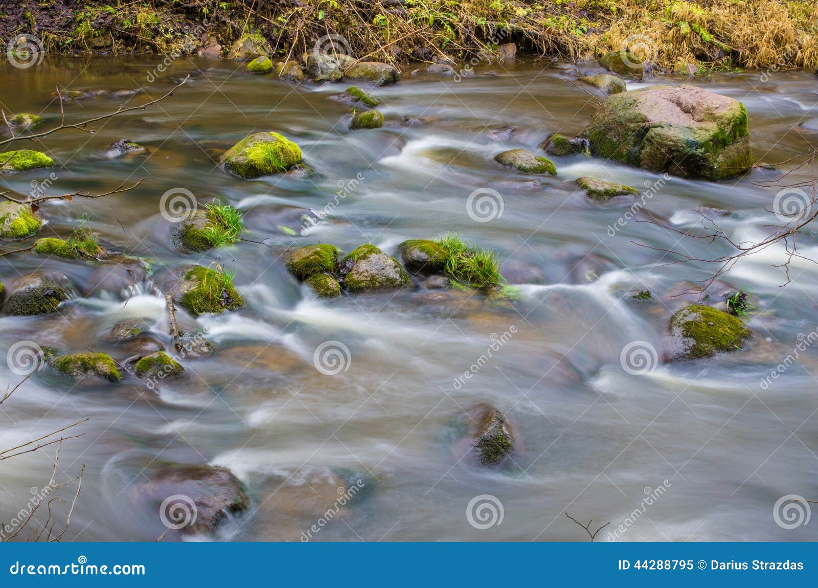 Water flow stock image. Image of river, tree, forest - 44288795