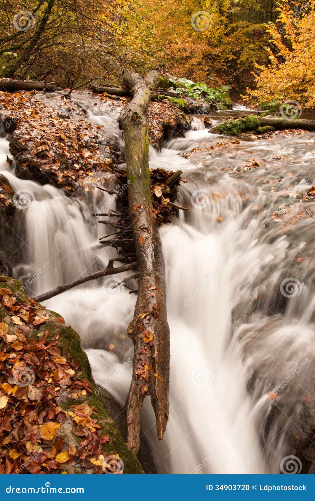 Water flow in the forest stock photo. Image of energy - 34903720