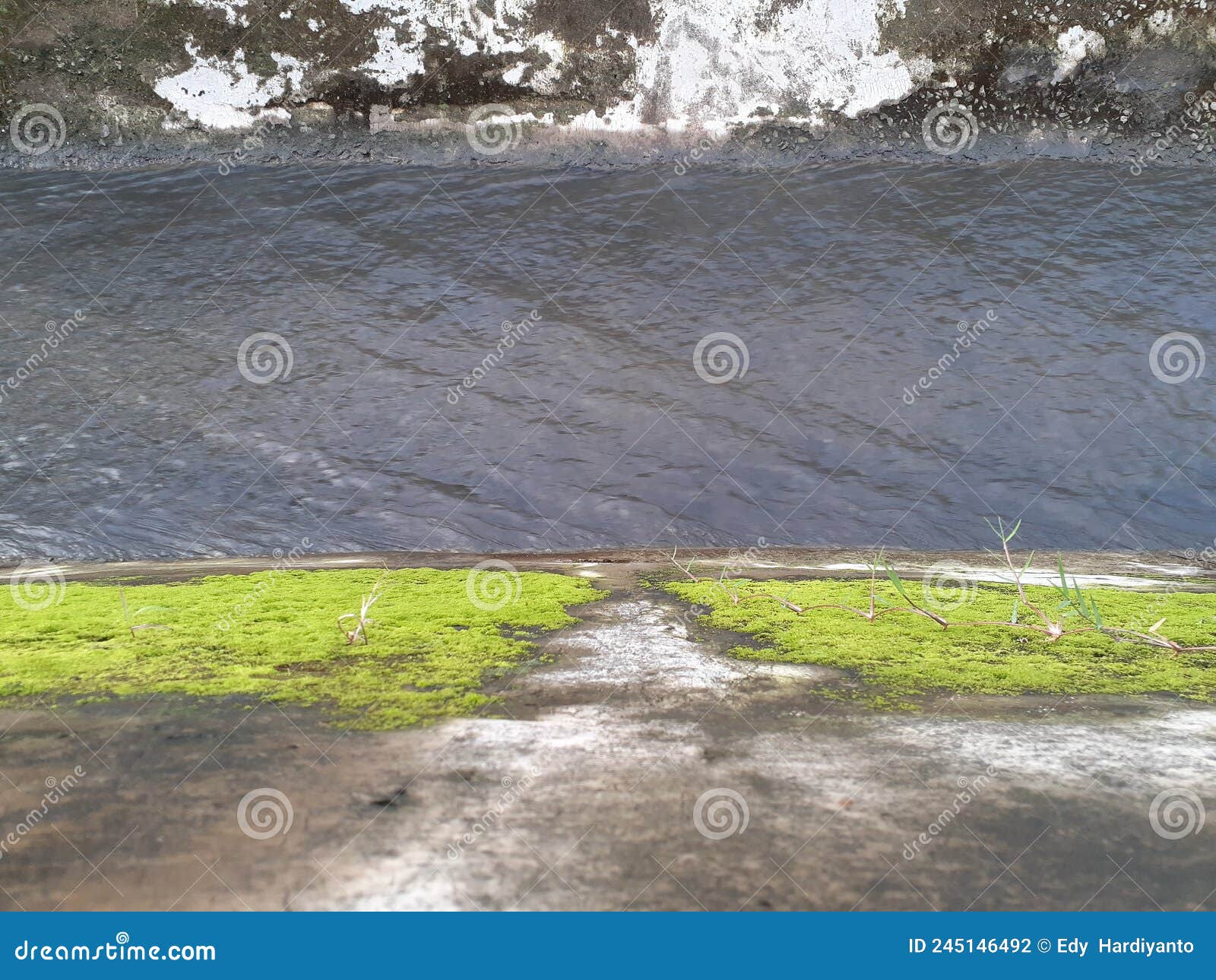 Water flow in the gutter. stock photo. Image of close - 245146492