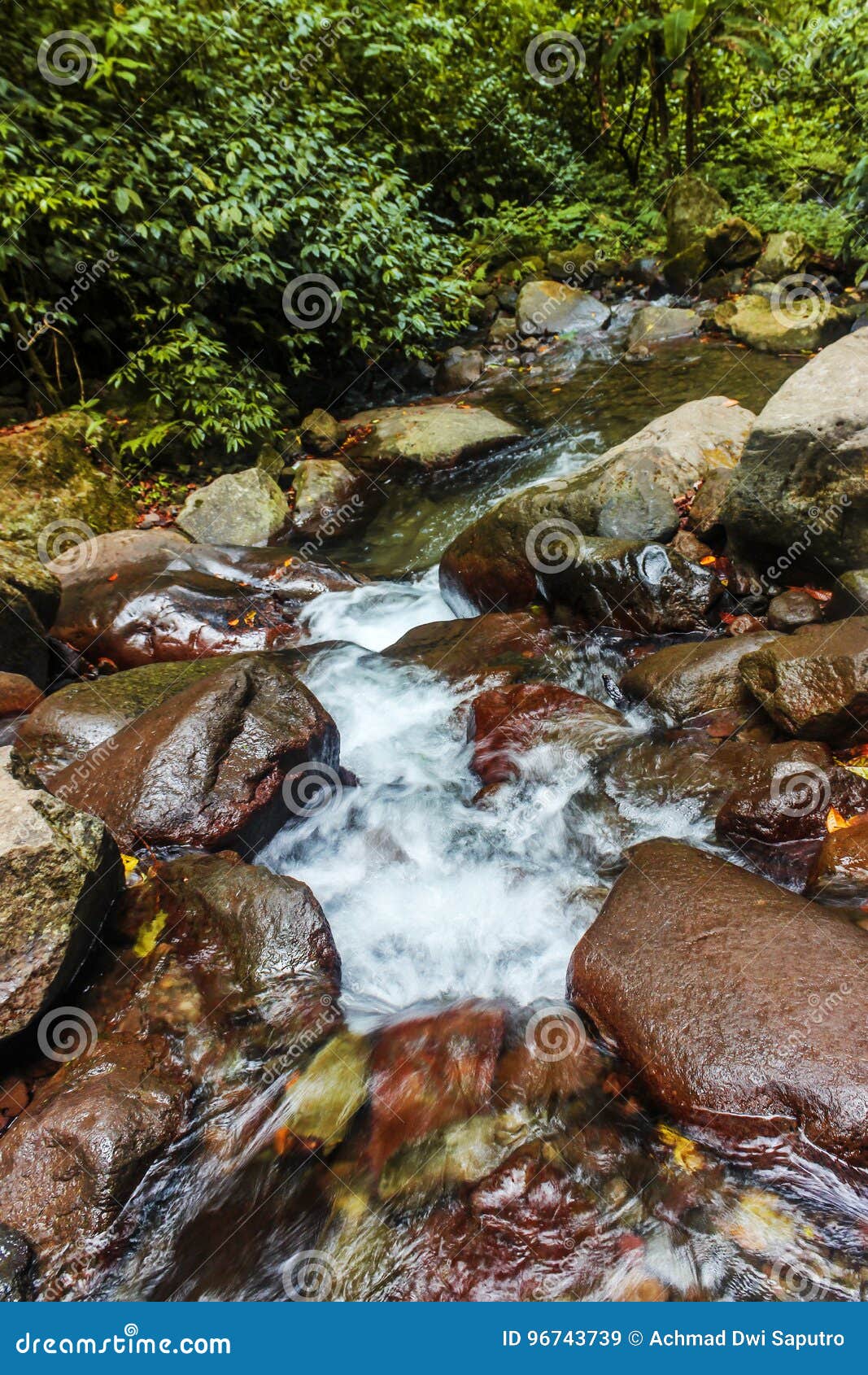 The Water Flow in the Jungle Stock Image - Image of colorful, benowo ...