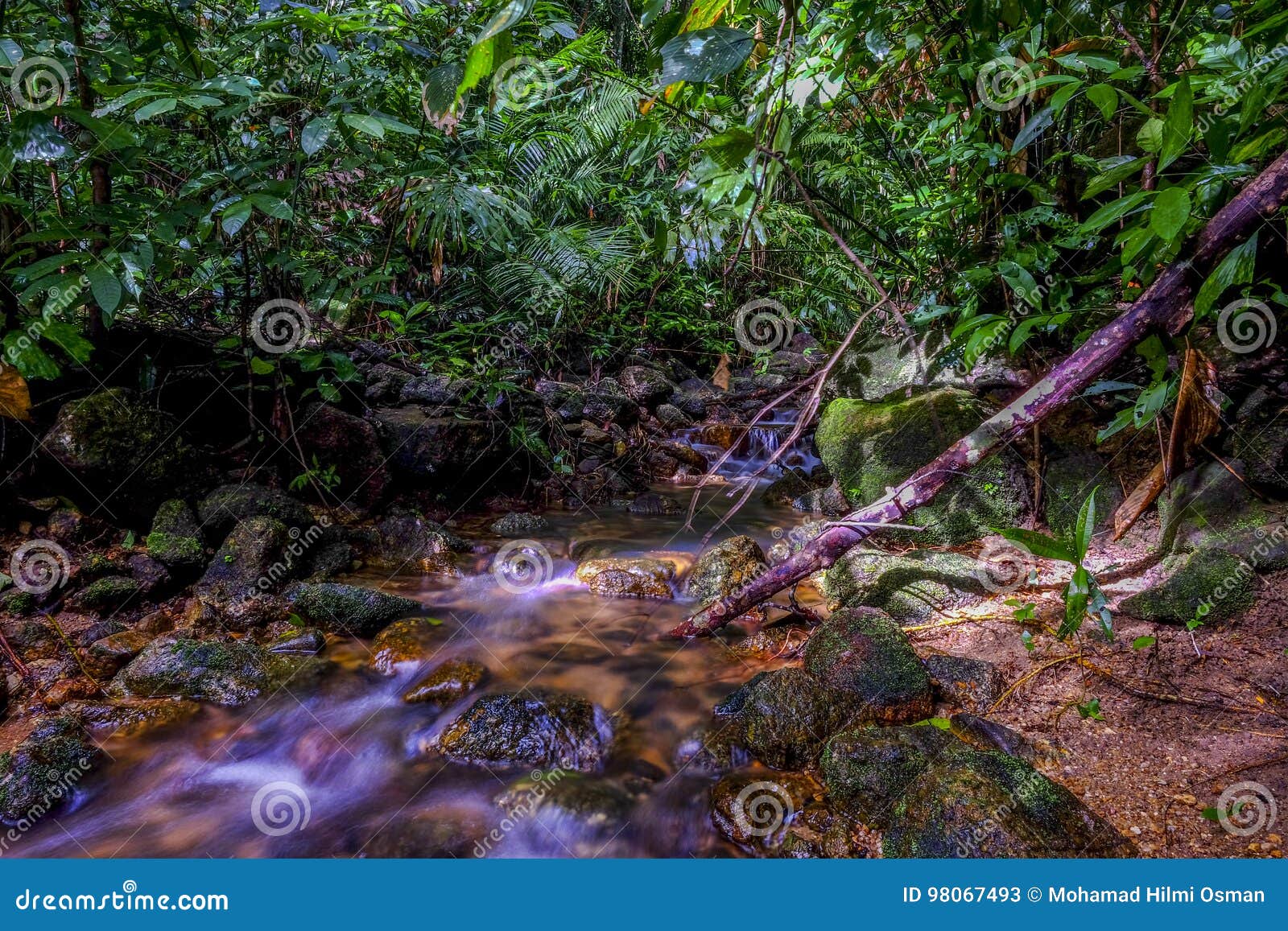A water flow in the jungle stock image. Image of mountain - 98067493