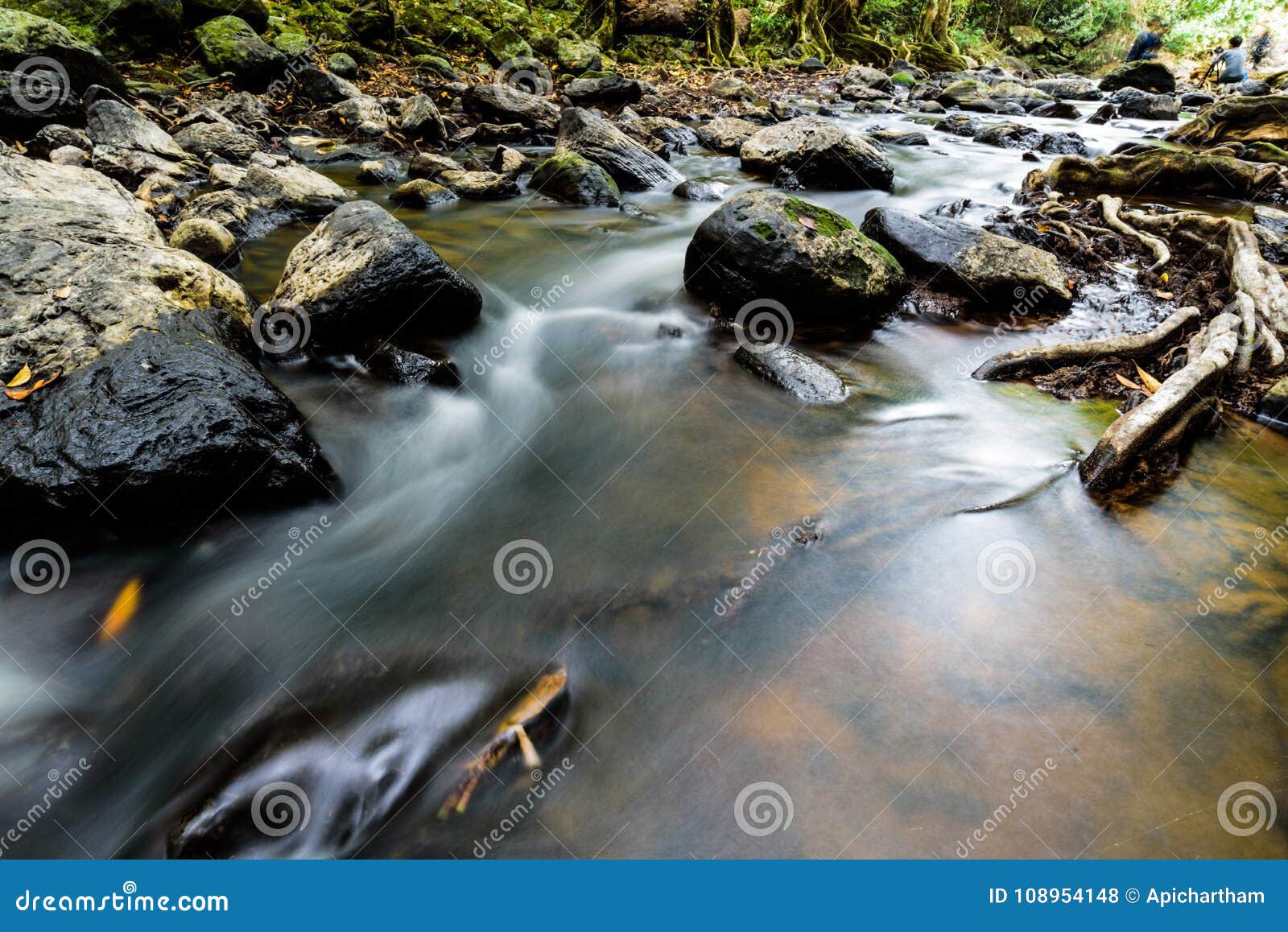 Flow lead the way 2. stock photo. Image of green, stream - 108954148