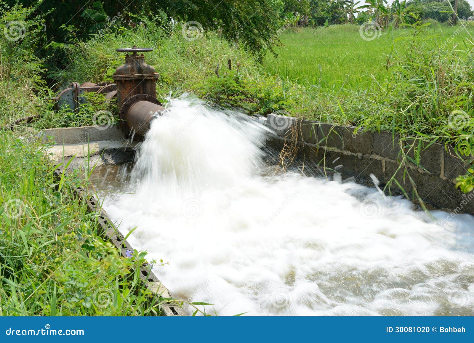 Water for agriculture stock photo. Image of crops, farmland - 30081020