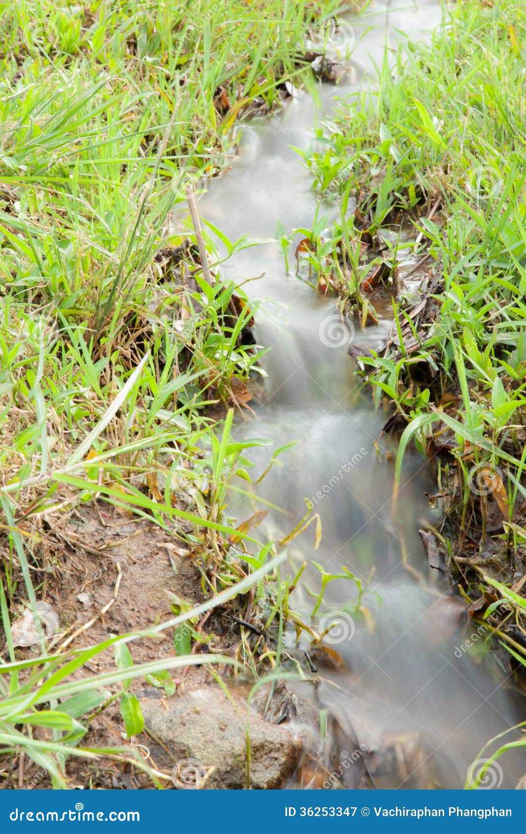 Water flow paths stock image. Image of blur, growth, flow - 36253347