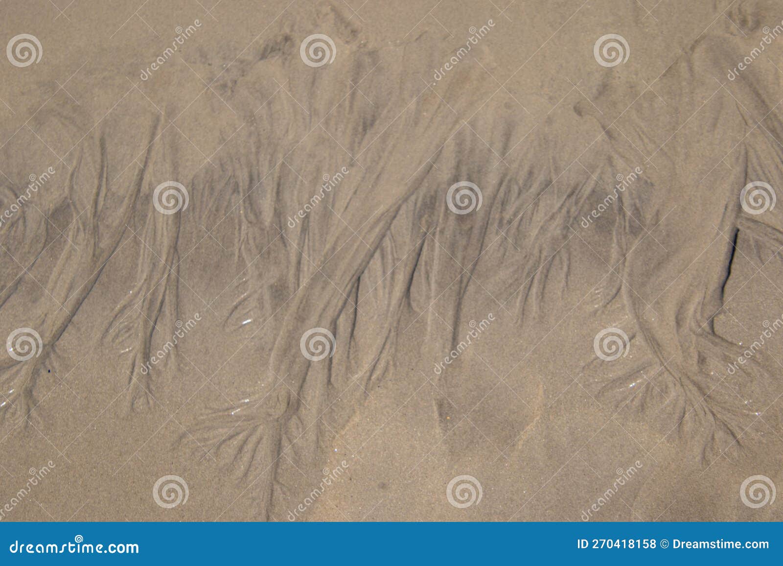 Water Flow Patterns on the Beach Sand Stock Photo - Image of book ...
