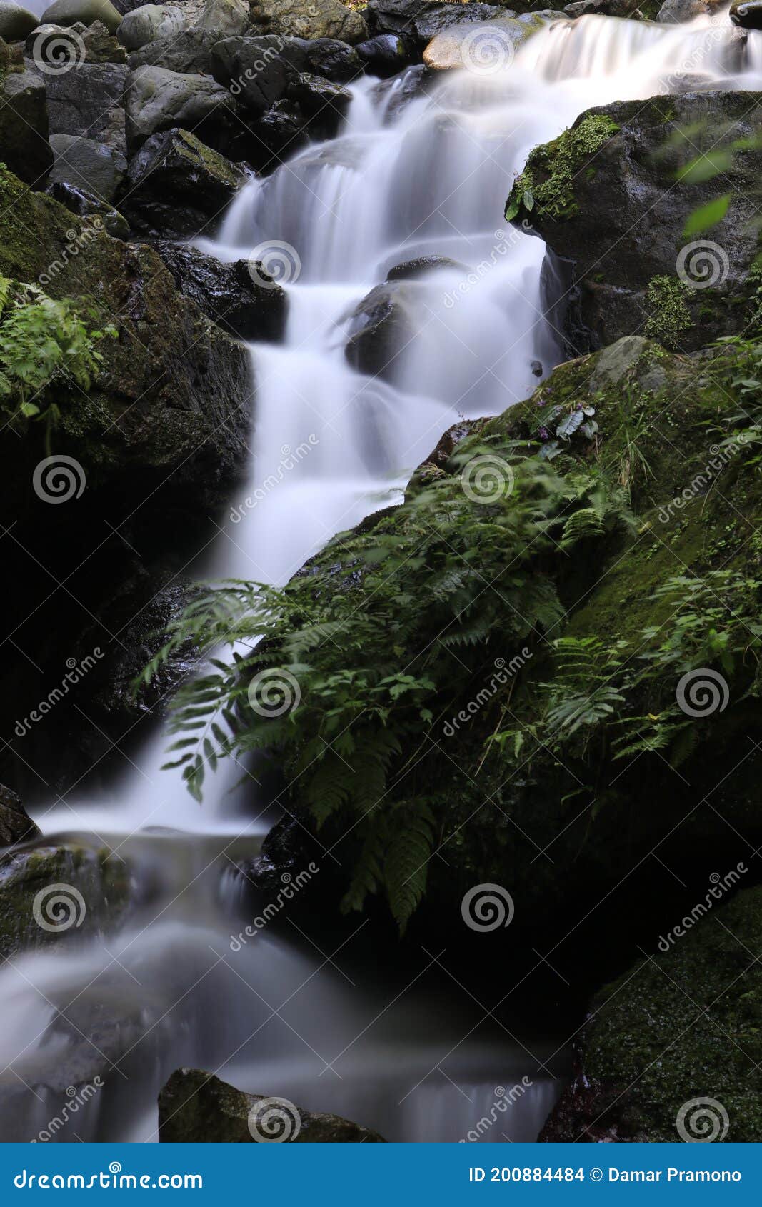 Water Flow stock photo. Image of natural, river, flow - 200884484