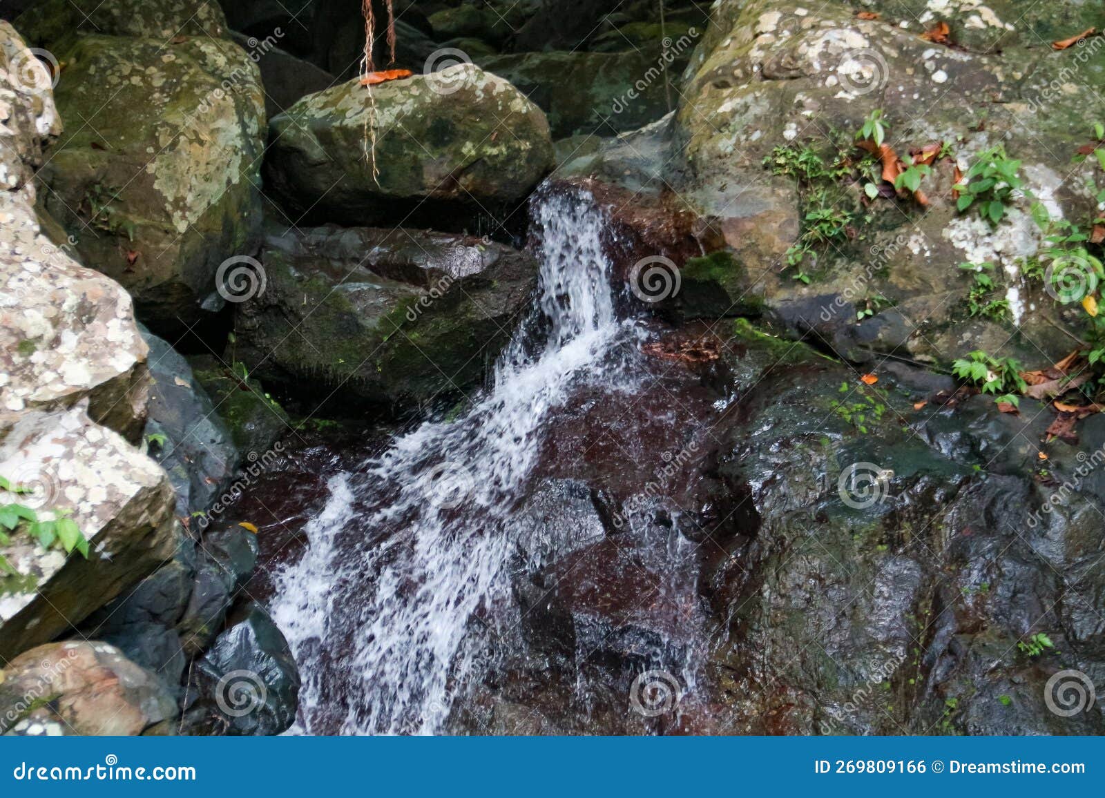 The Water Flow in the River that Passes through the Rocks Stock Photo ...
