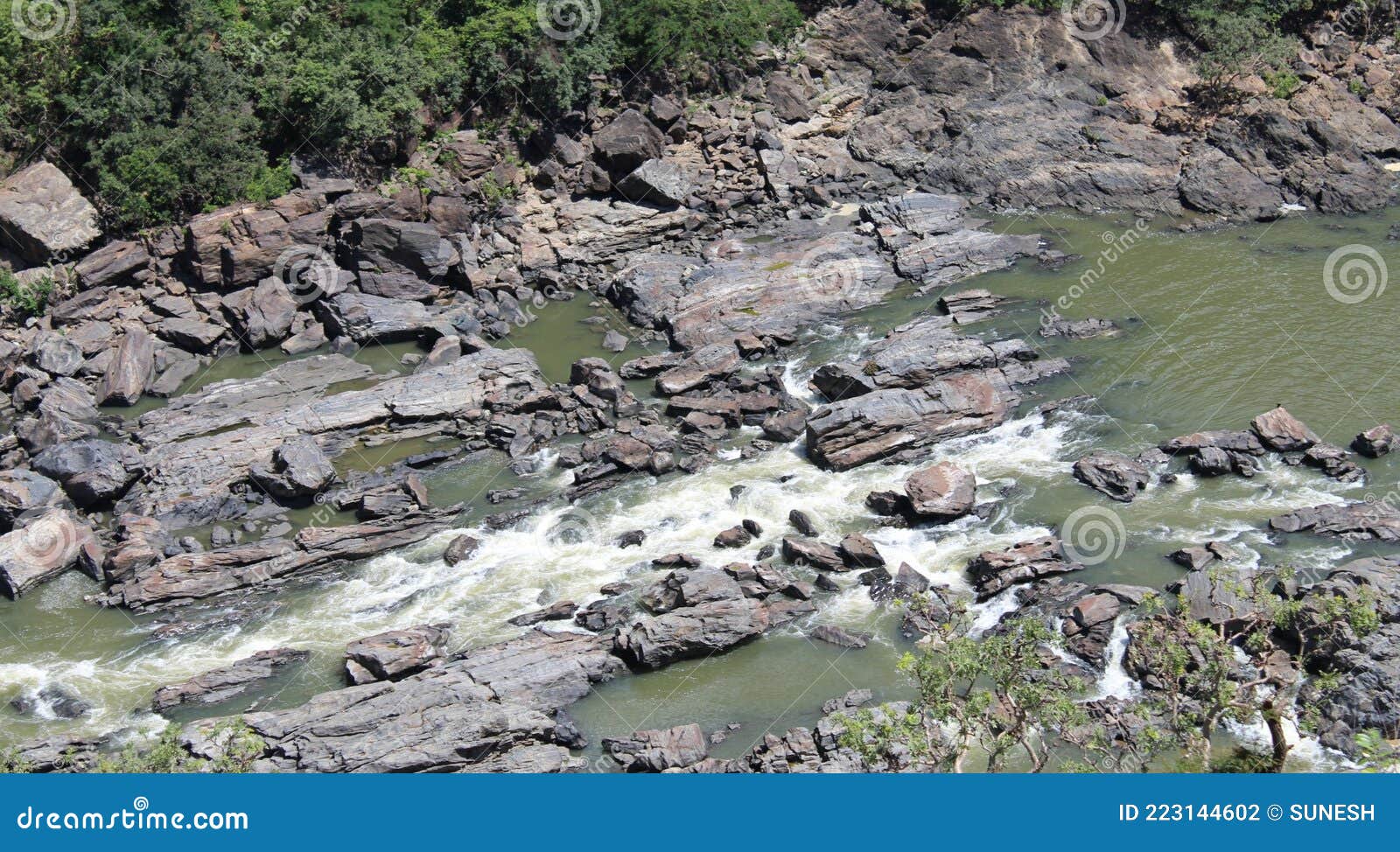 Water Flow in a River with Rocks and Plants Stock Photo - Image of ...