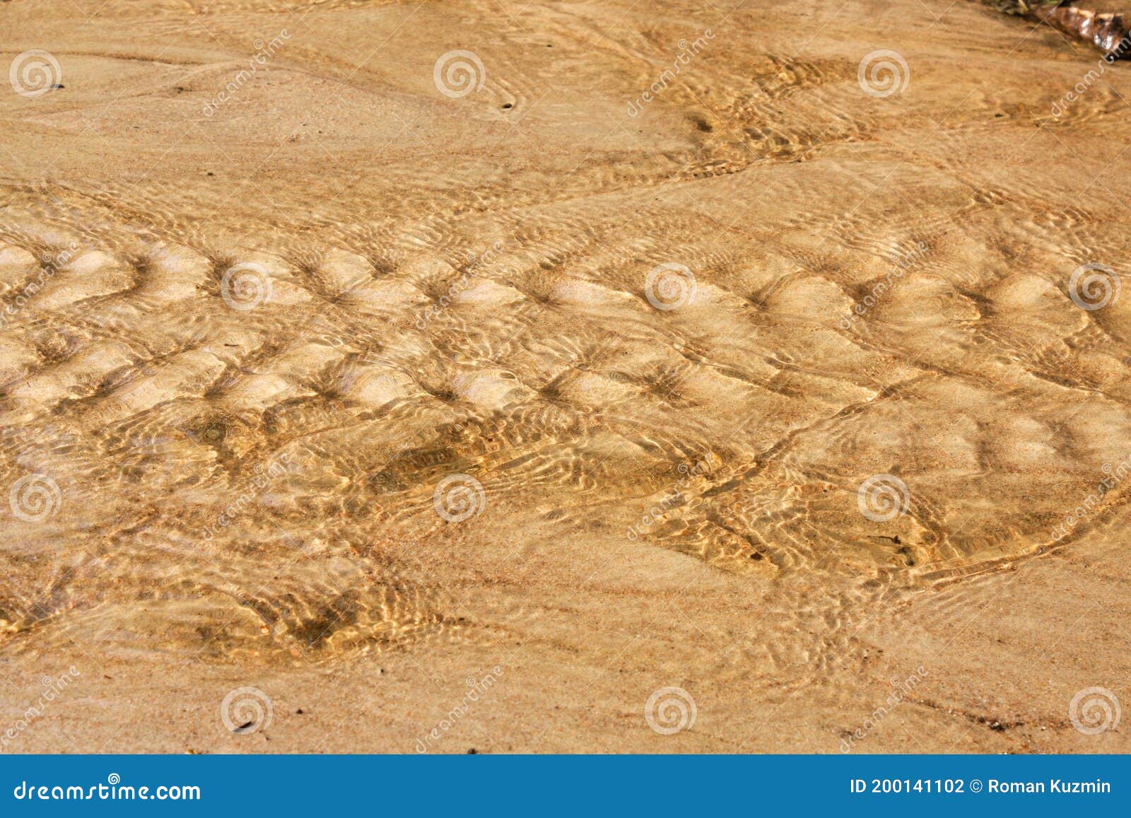 Water Flow in a Sandy Forest Streamlet. Solar Illumination Stock Photo ...