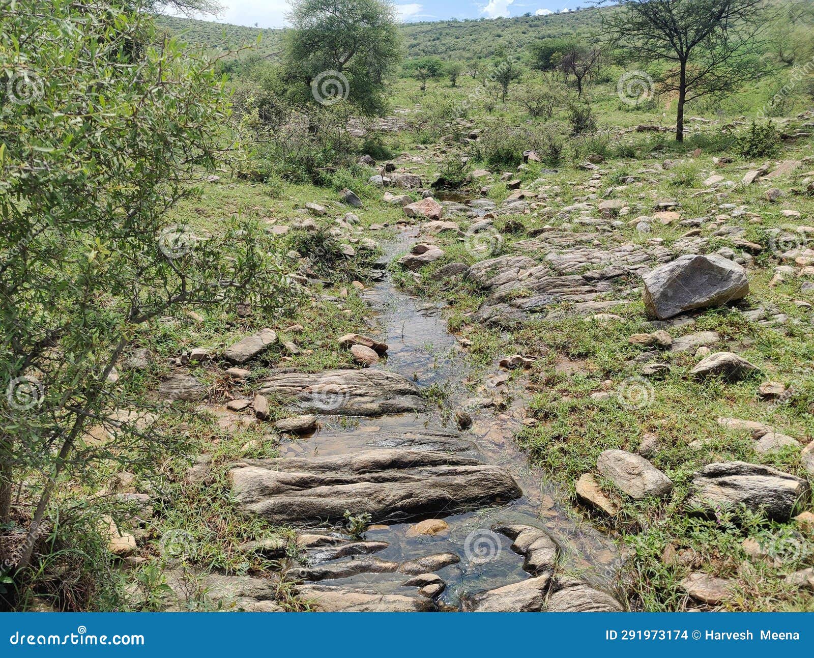 Water flow silent way stock photo. Image of fores, trail - 291973174