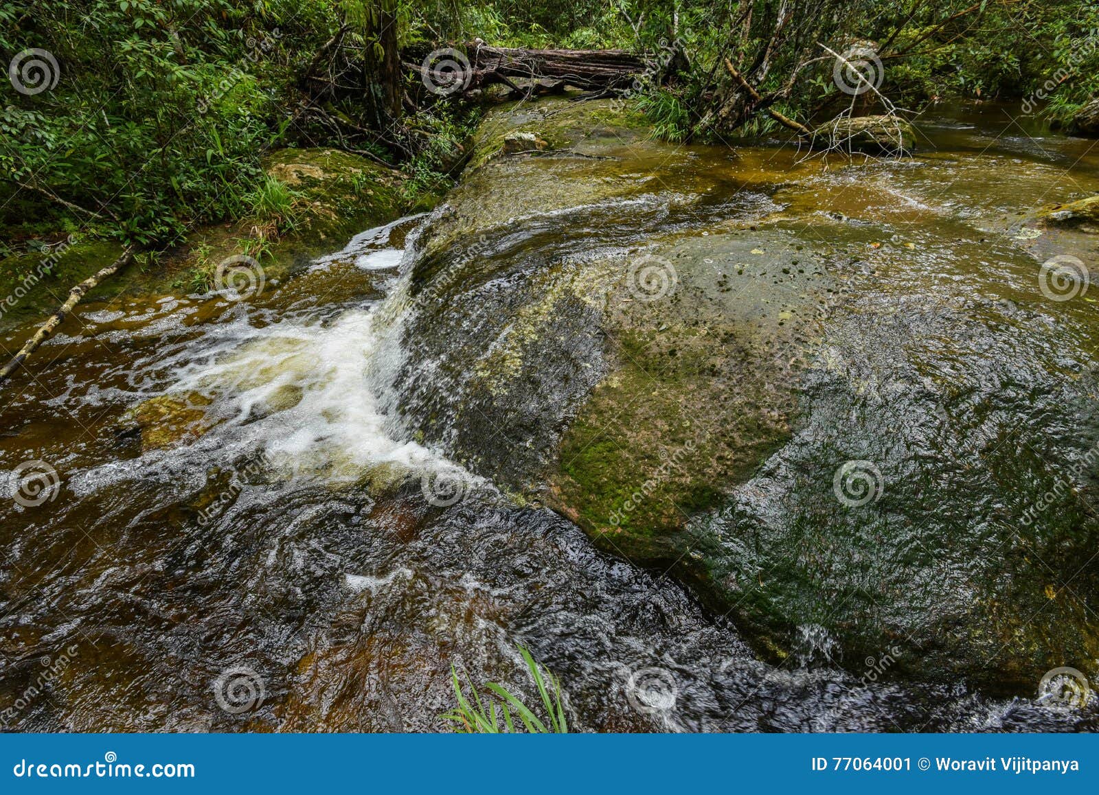 Water flow stone stock image. Image of details, gush - 77064001