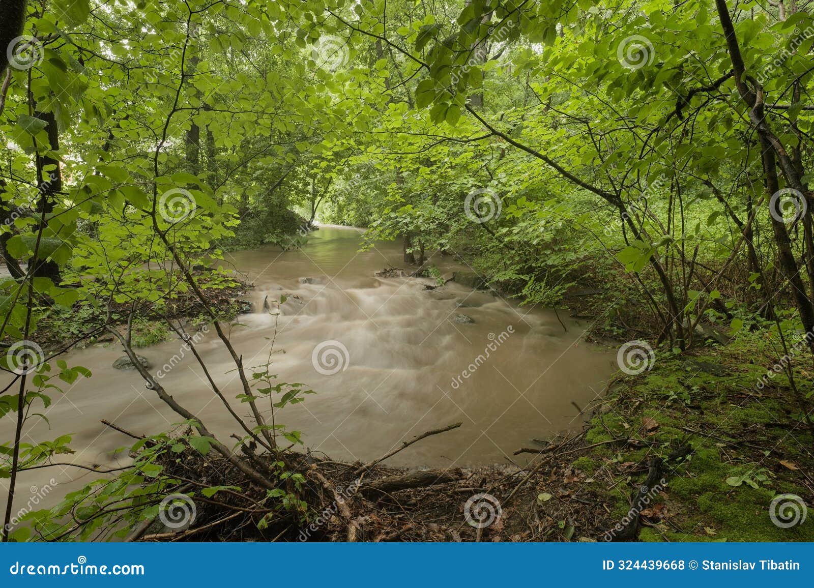 Water Flow after Summer Rain Stock Photo - Image of park, north: 324439668