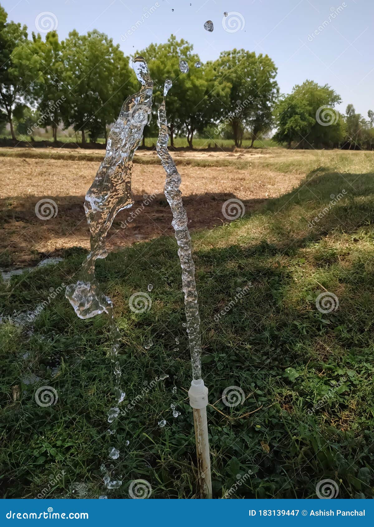 Water flow view at farm stock image. Image of water - 183139447