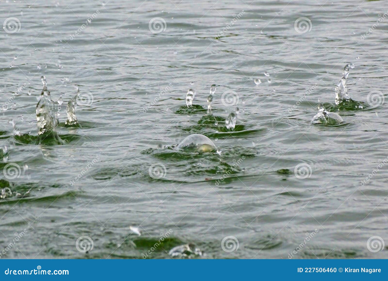 Water flowing stock photo. Image of drop, outdoor, close - 227506460