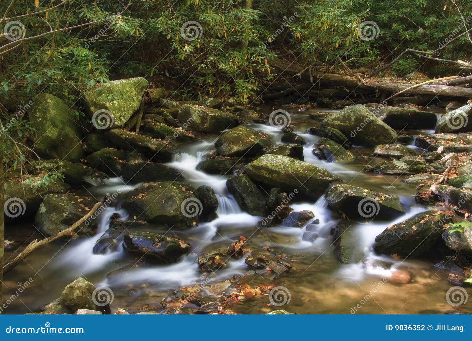 Water Flowing stock photo. Image of creeks, mountain, rocks - 9036352