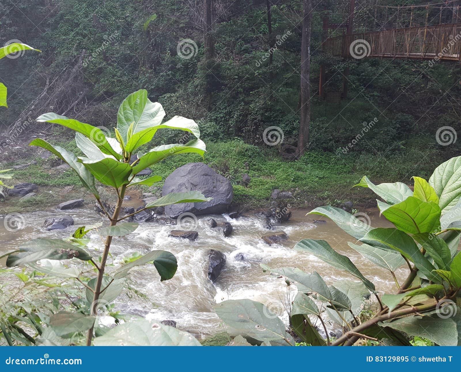 Water flowing stock image. Image of bridge, flowing, abbi - 83129895
