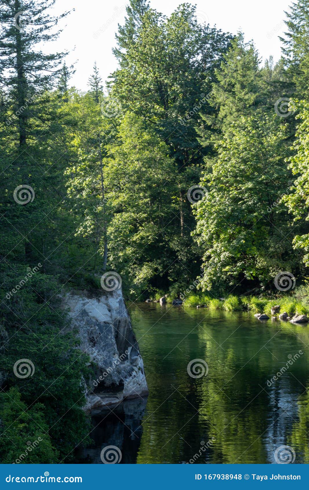 Water Flowing Along Green River in Washington State in Forest Stock ...