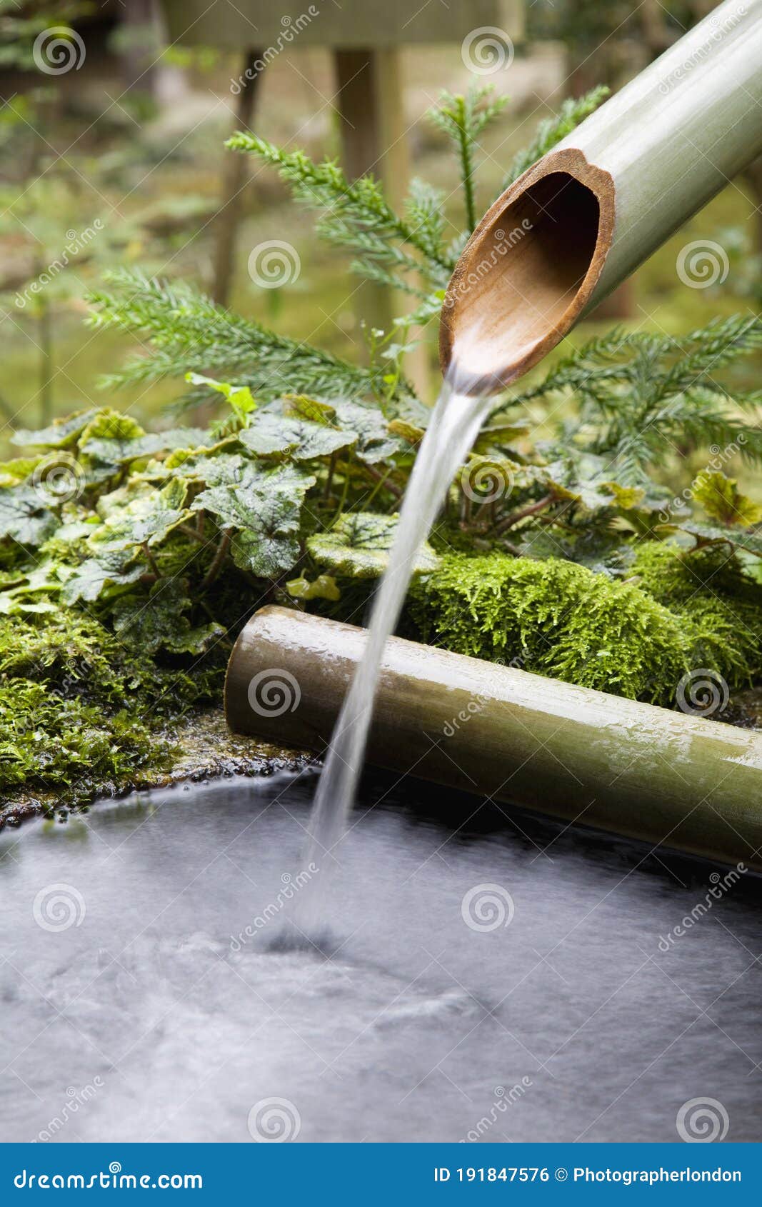Bamboo Pipe Dripping Water Royalty-Free Stock Photography ...