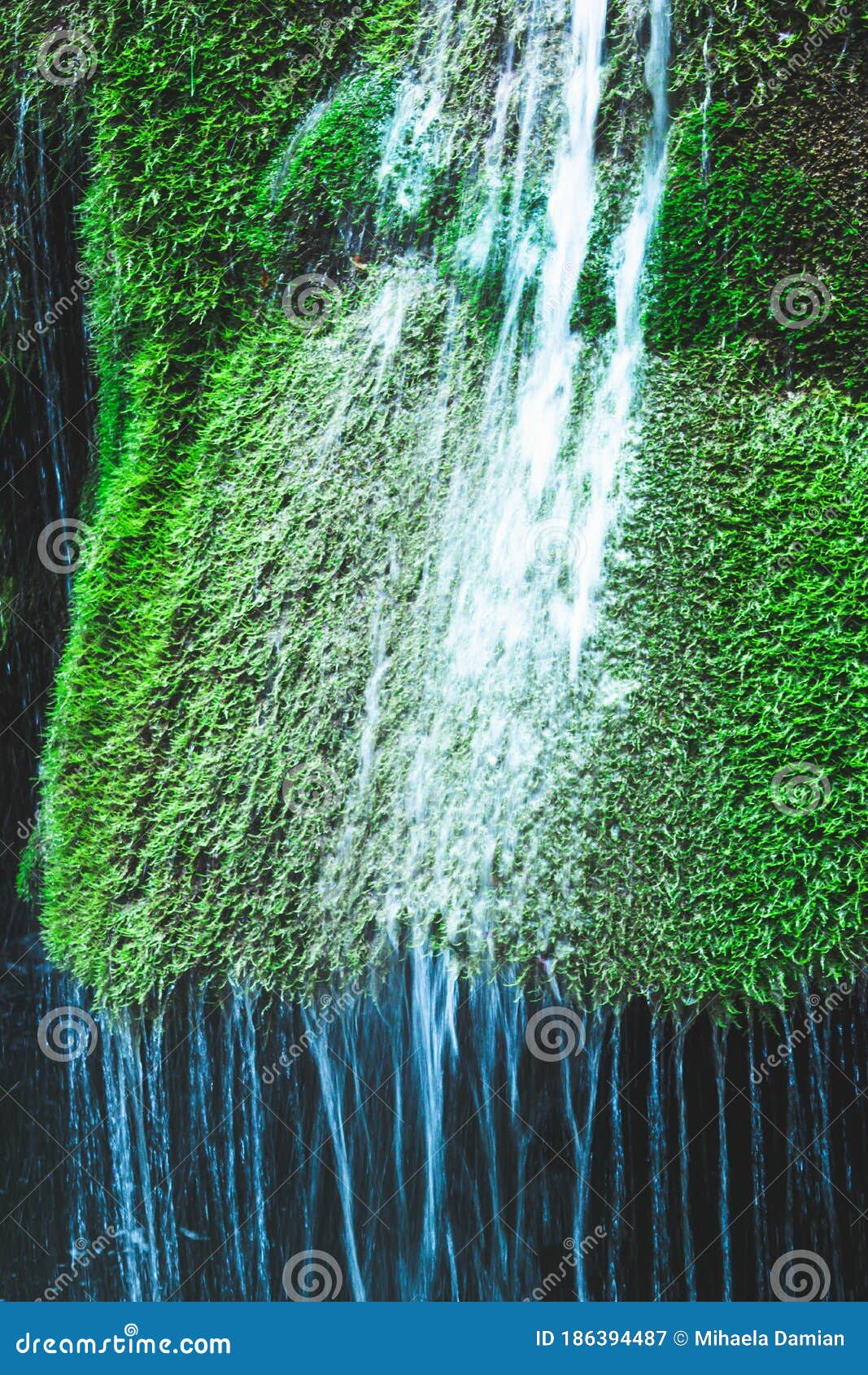 Bigar Water Fall, Romania, Formed By An Underground Water Spring Witch ...