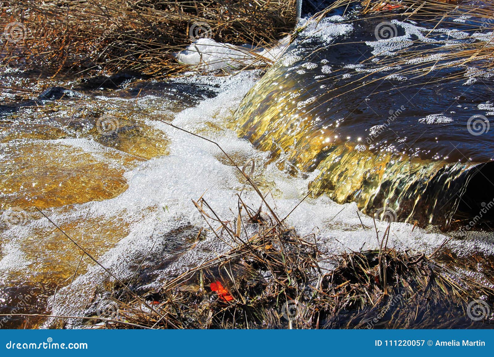 Water Flowing in the Ditch during the Spring Stock Image - Image of ...
