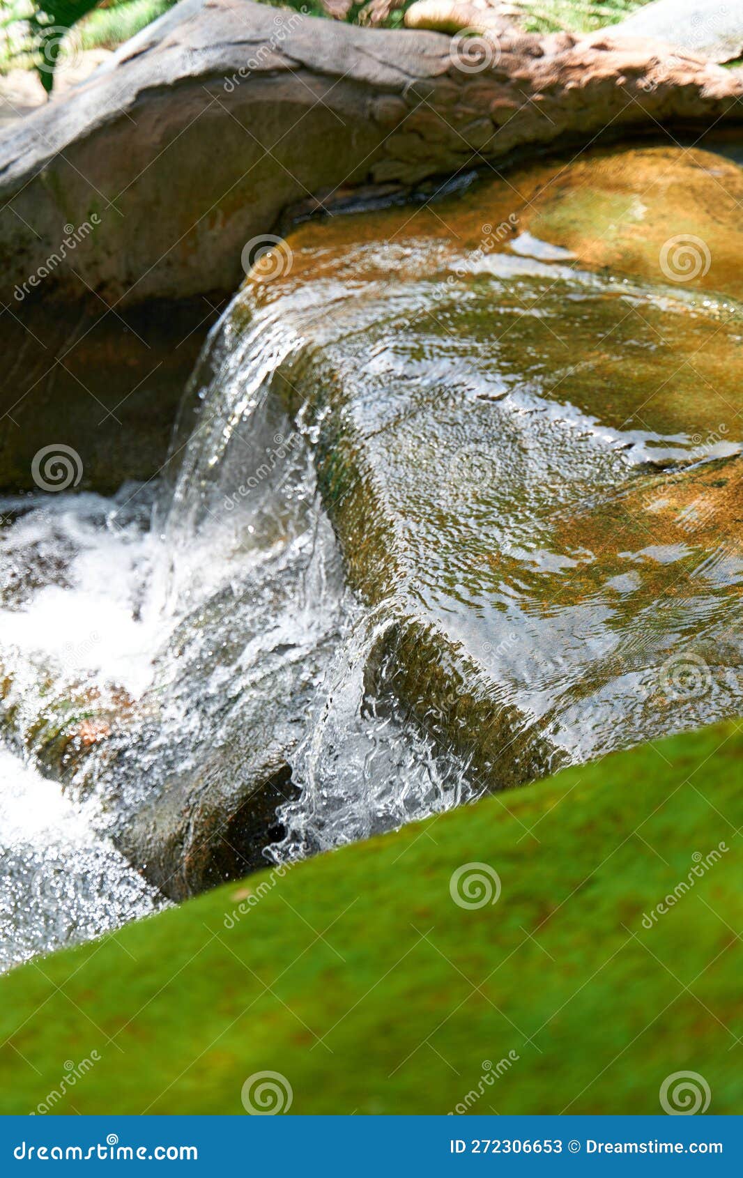 Water Flowing Down the Moss-covered Rocks in the Jungle Stock Image ...