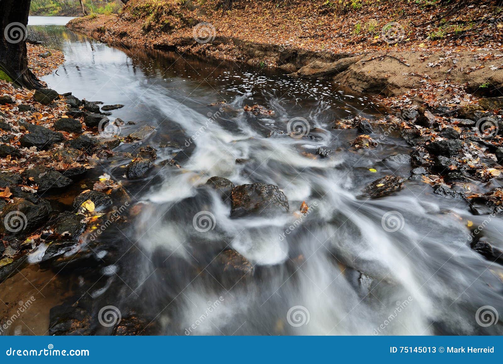 Water Flowing Down the Rapids of a Stream Stock Image - Image of ...