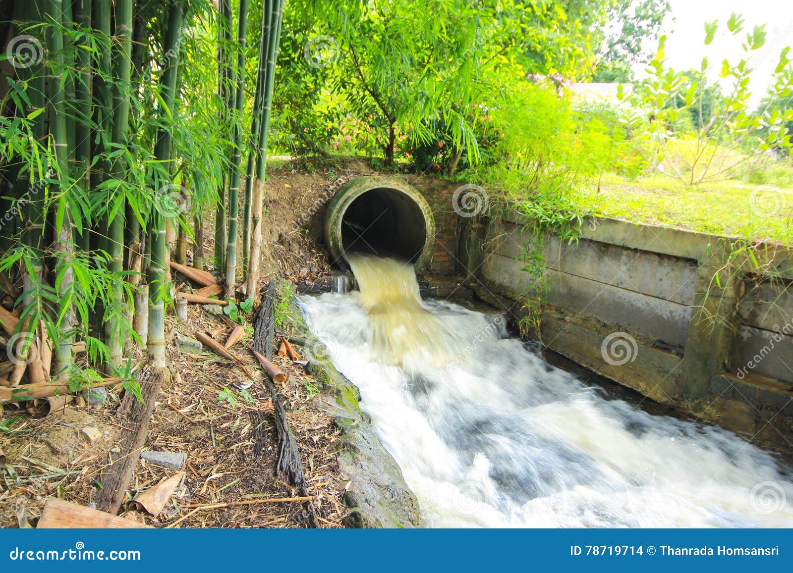Water Flowing from a Drain Pipe into a River Stock Photo - Image of ...