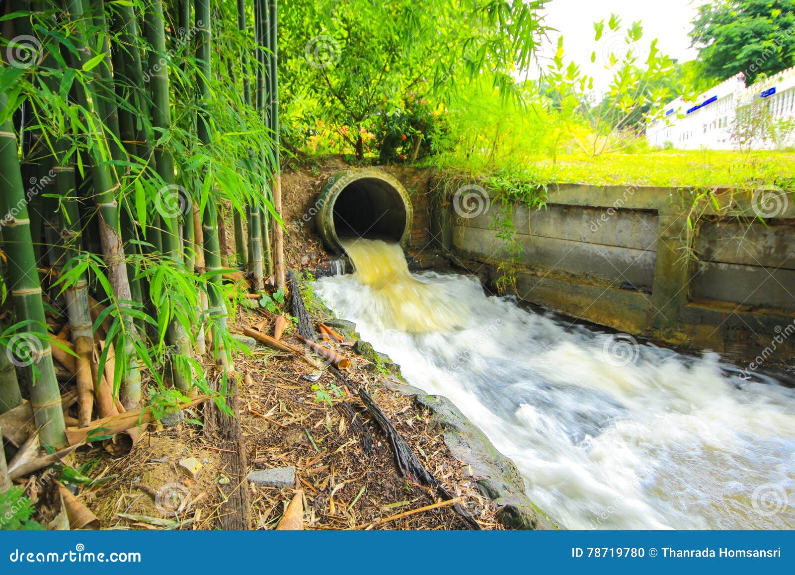 Water Flowing from a Drain Pipe into a River Stock Photo - Image of ...