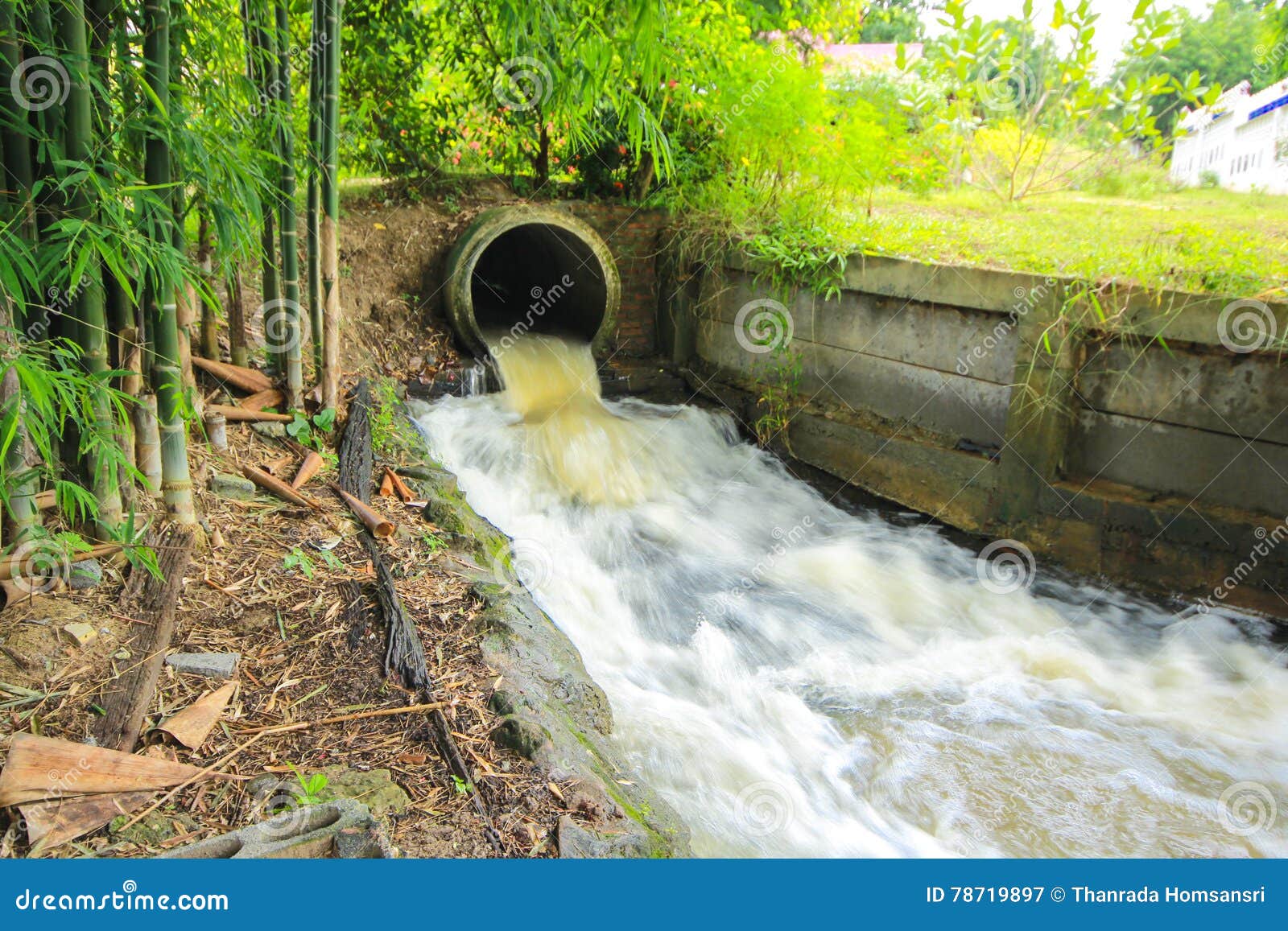 Water Flowing from a Drain Pipe into a River Stock Image - Image of ...