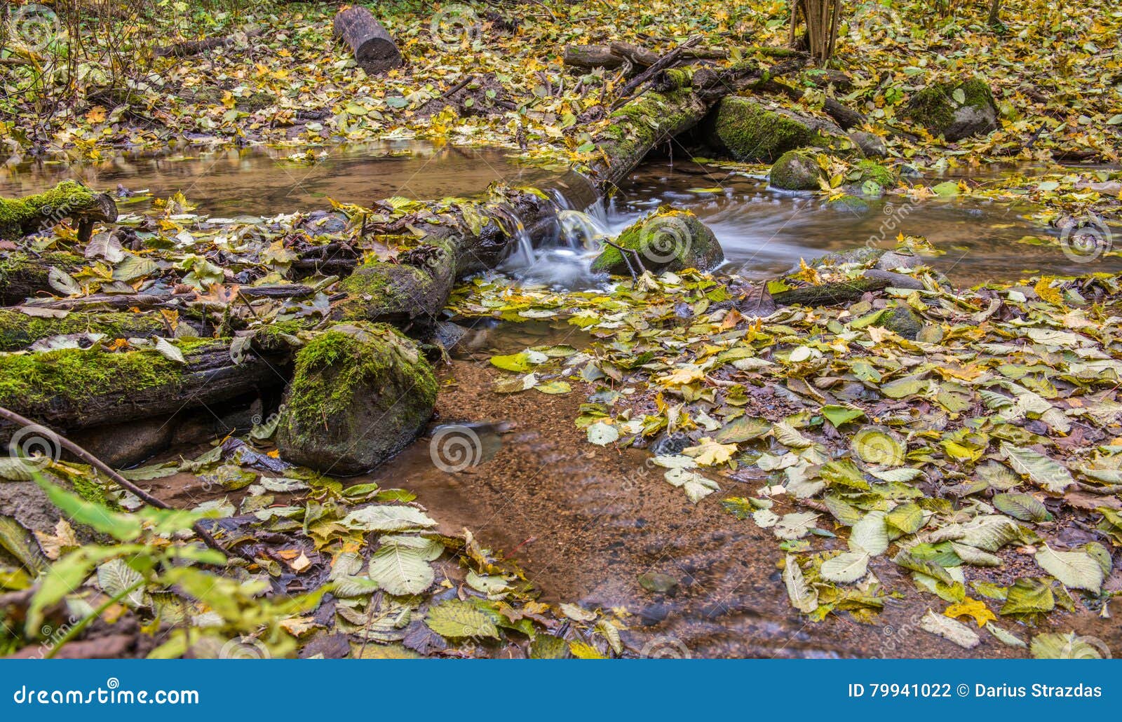 Water flowing, fall leaves stock photo. Image of beautiful - 79941022