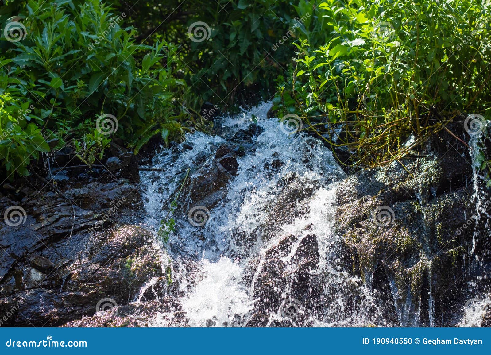 Water Flowing in the Forest, Water Splash on a Stone Stock Photo ...