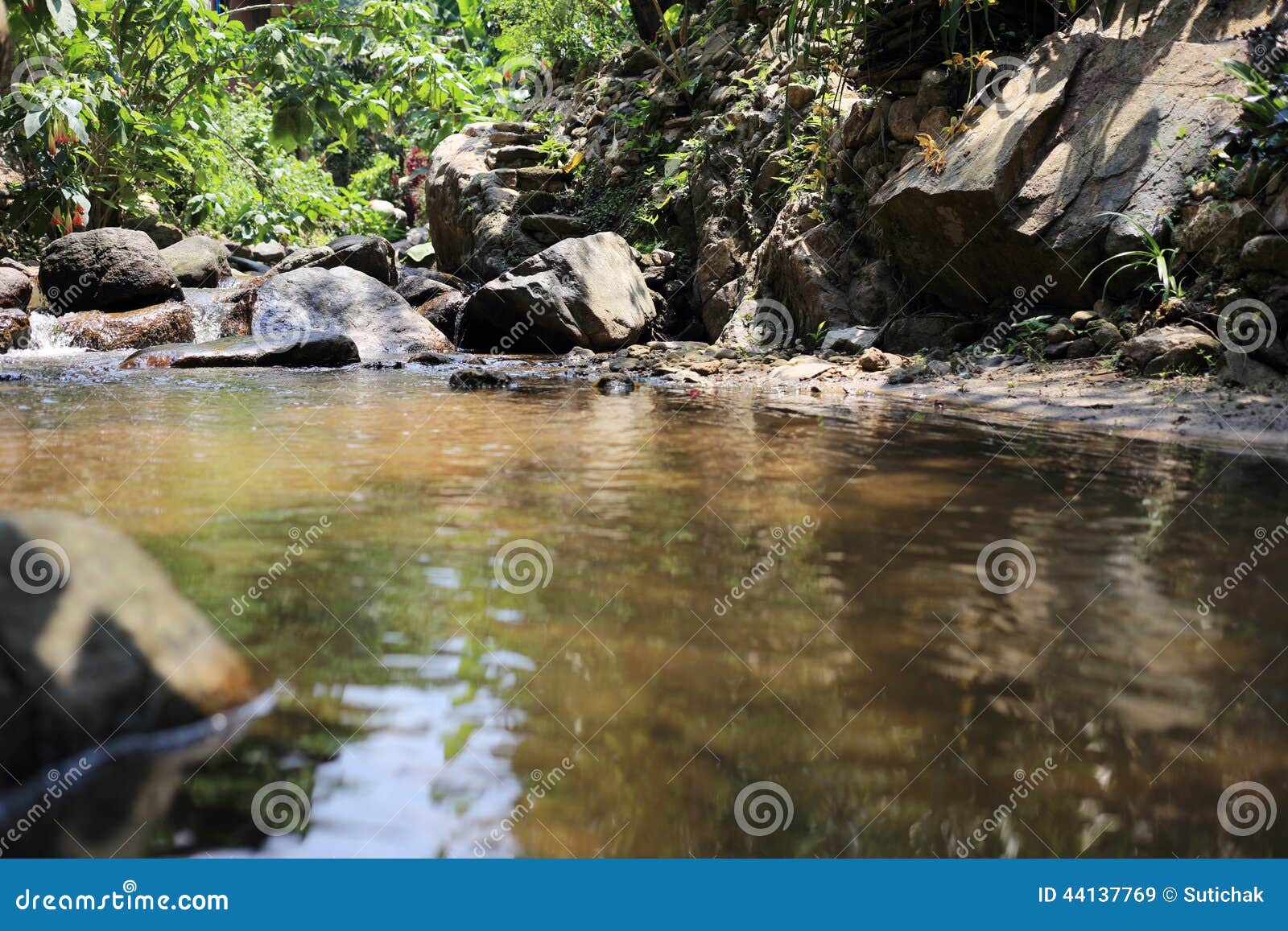 Water Flowing in Natural River Stock Image - Image of stream ...